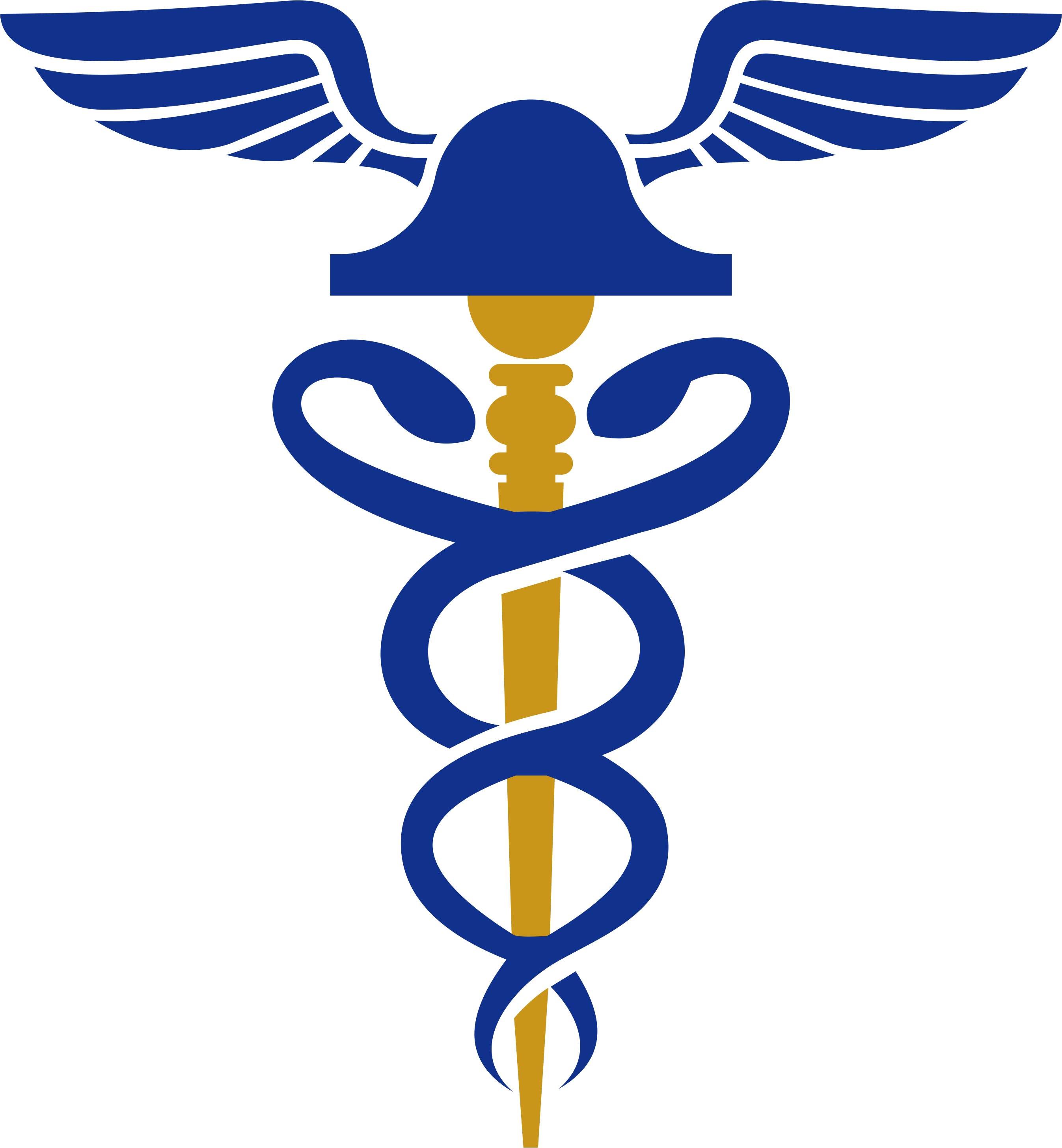 Ciências Contábeis é Contabilidade - LIBRAIN